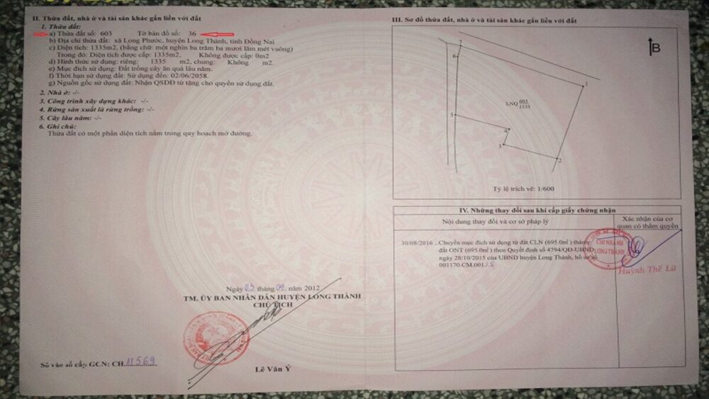 Hướng dẫn tra cứu tờ bản đồ số thửa đầy đủ nhất